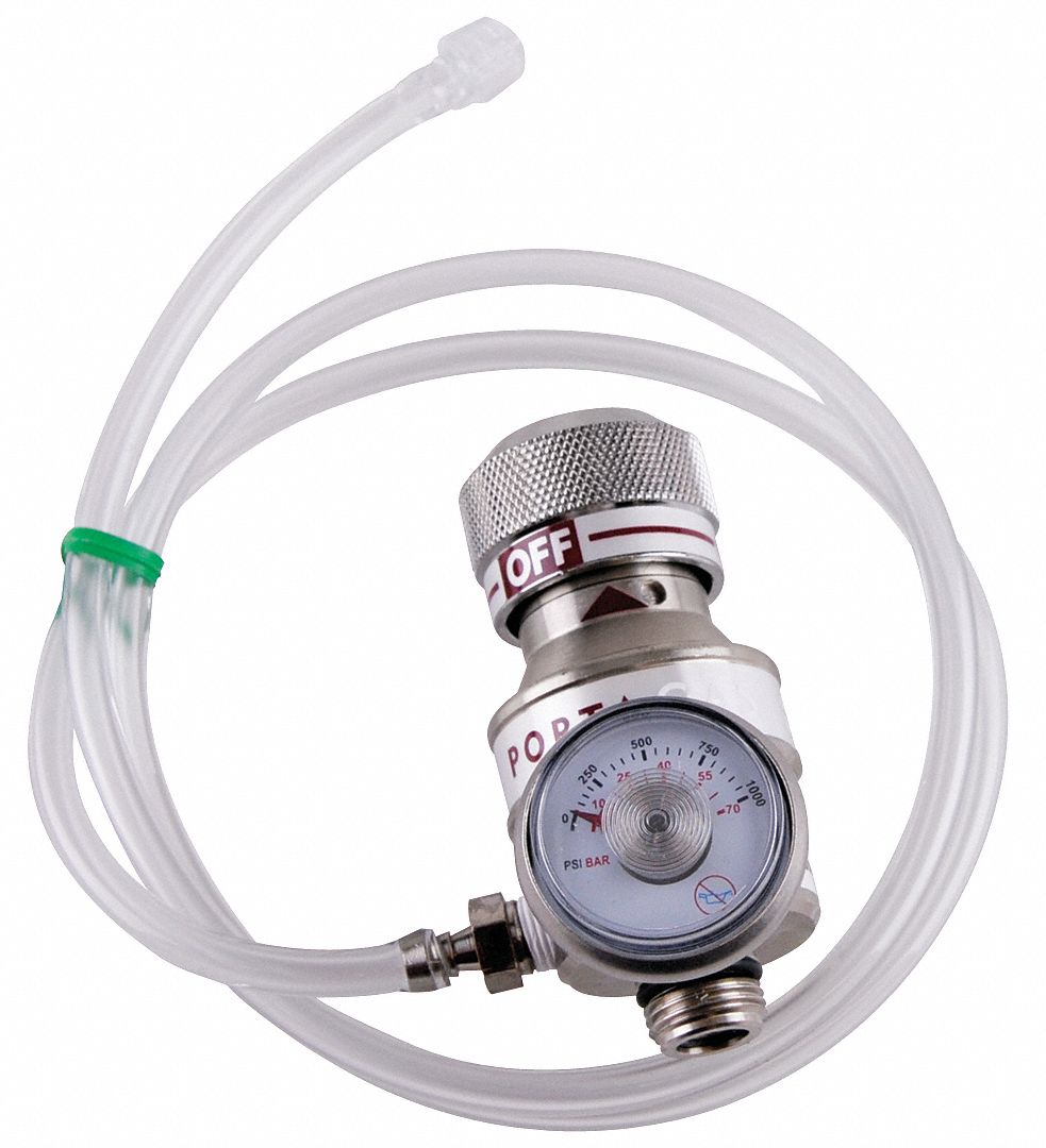 SENSIT, Gas Regulator, Stainless Steel, Gas Cylinder Regulator - 36T539 ...