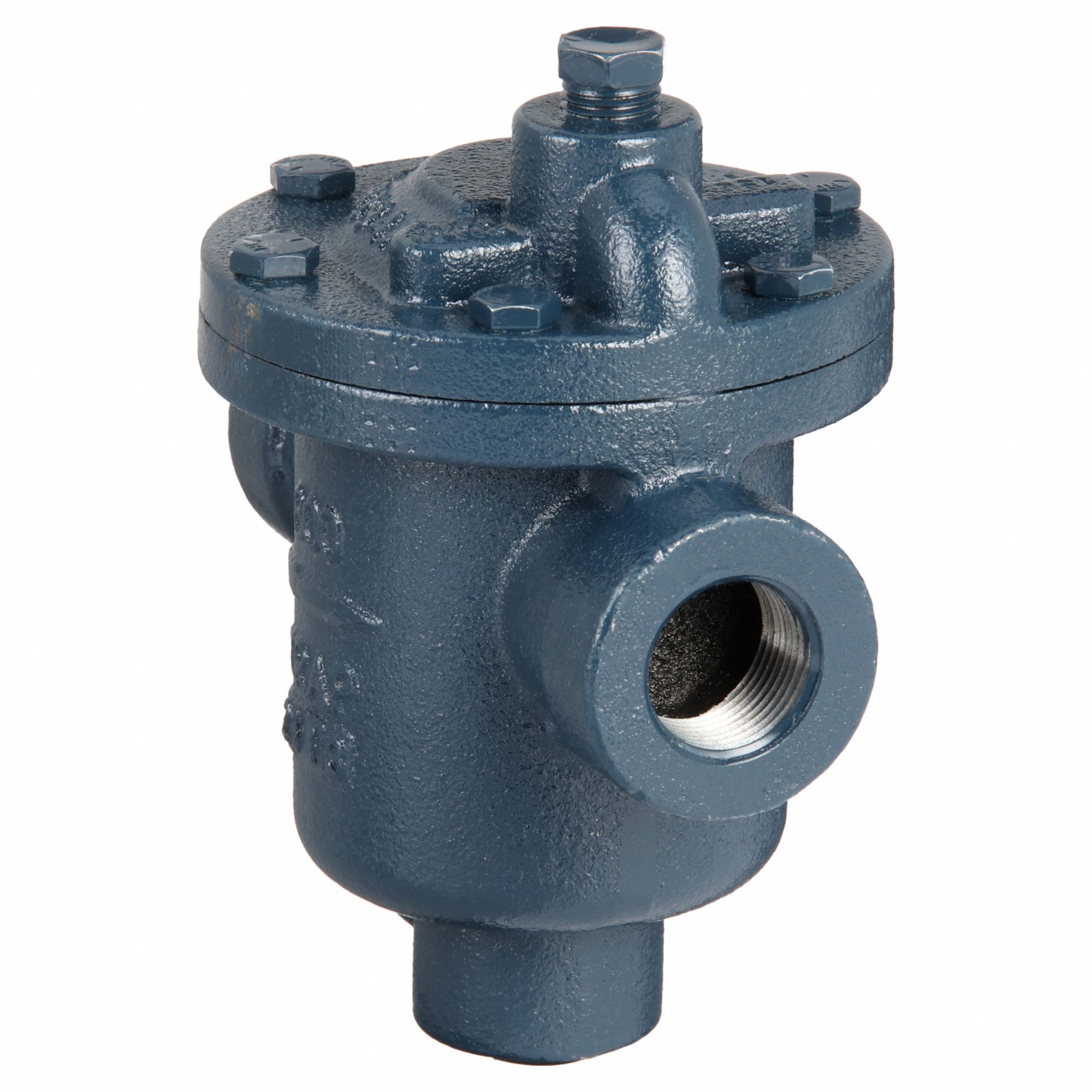 Cast Iron, 3/4 in FNPT, Steam Trap - 36Y191|800-075-150 - Grainger