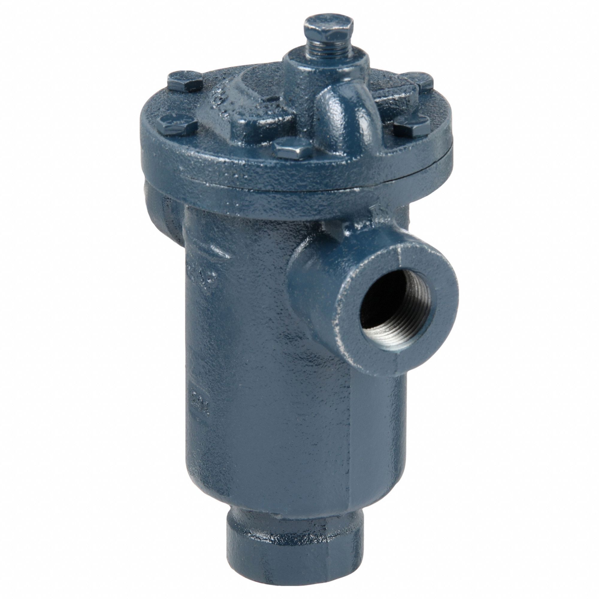 Cast Iron, 3/4 in FNPT, Steam Trap - 36Y197|811-075-250 - Grainger