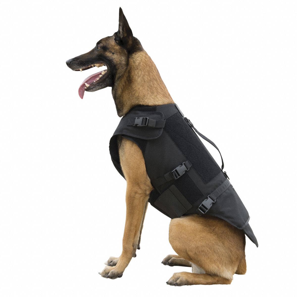 K-9 Vest - Grainger