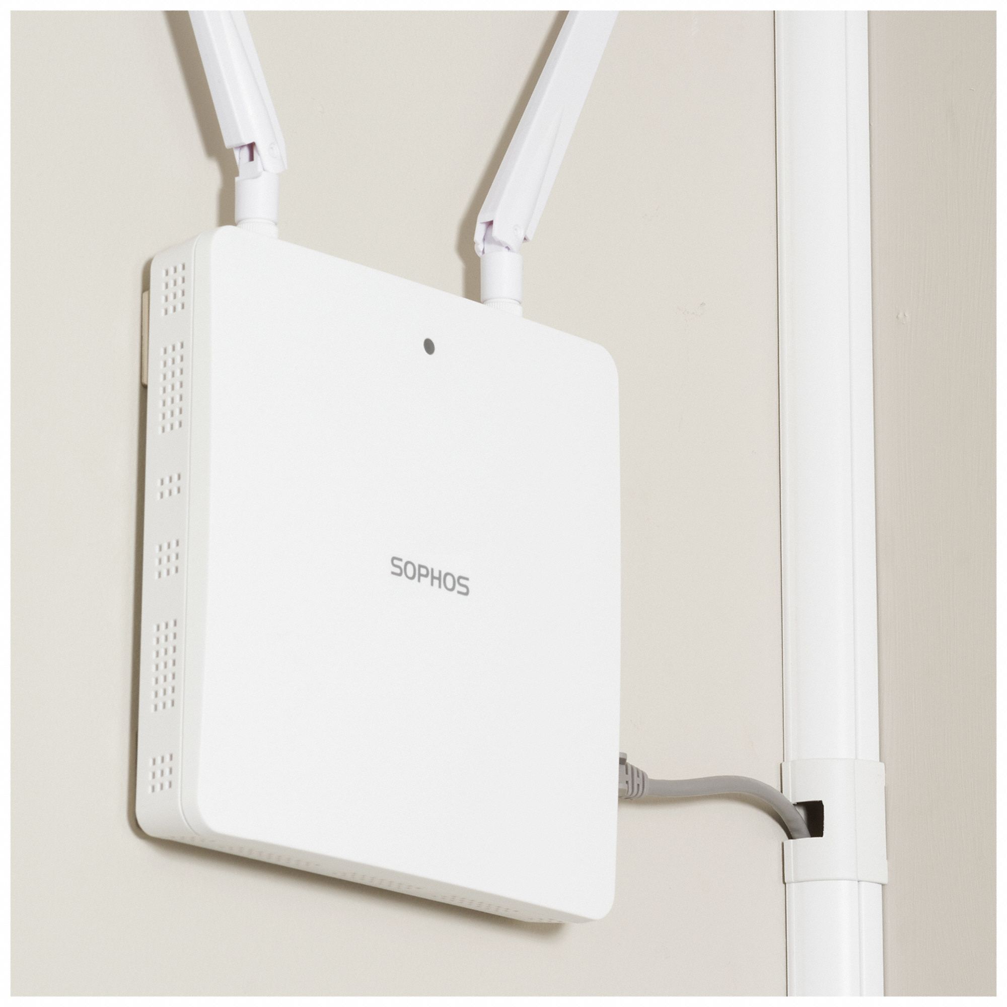 D-LINE Raceway: Quarter Round, 7/8 in Wd, 7/8 in Ht, 79 in Lg, Plastic ...