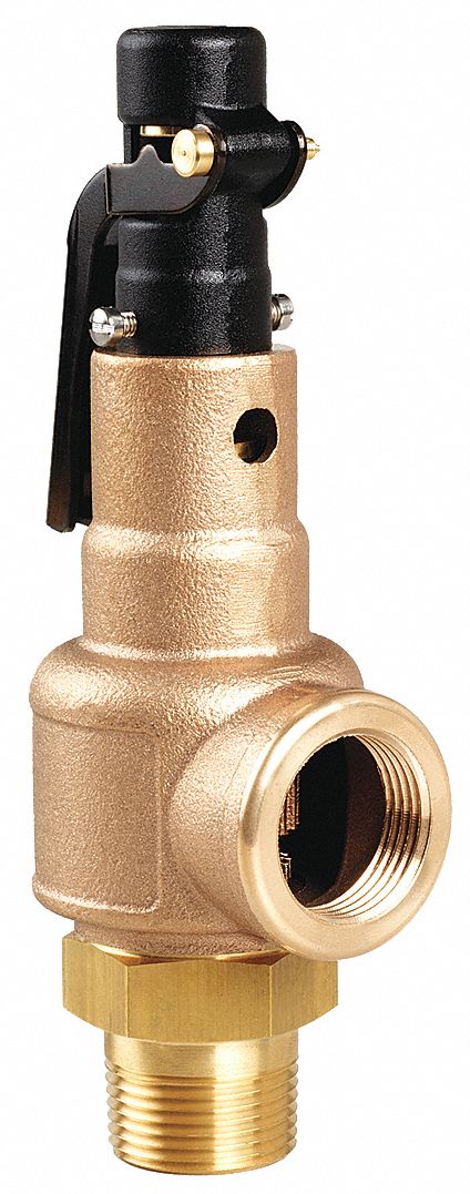 Safety Valve,150 psi,1/2 MNPT x 3/4 FNPT - Grainger