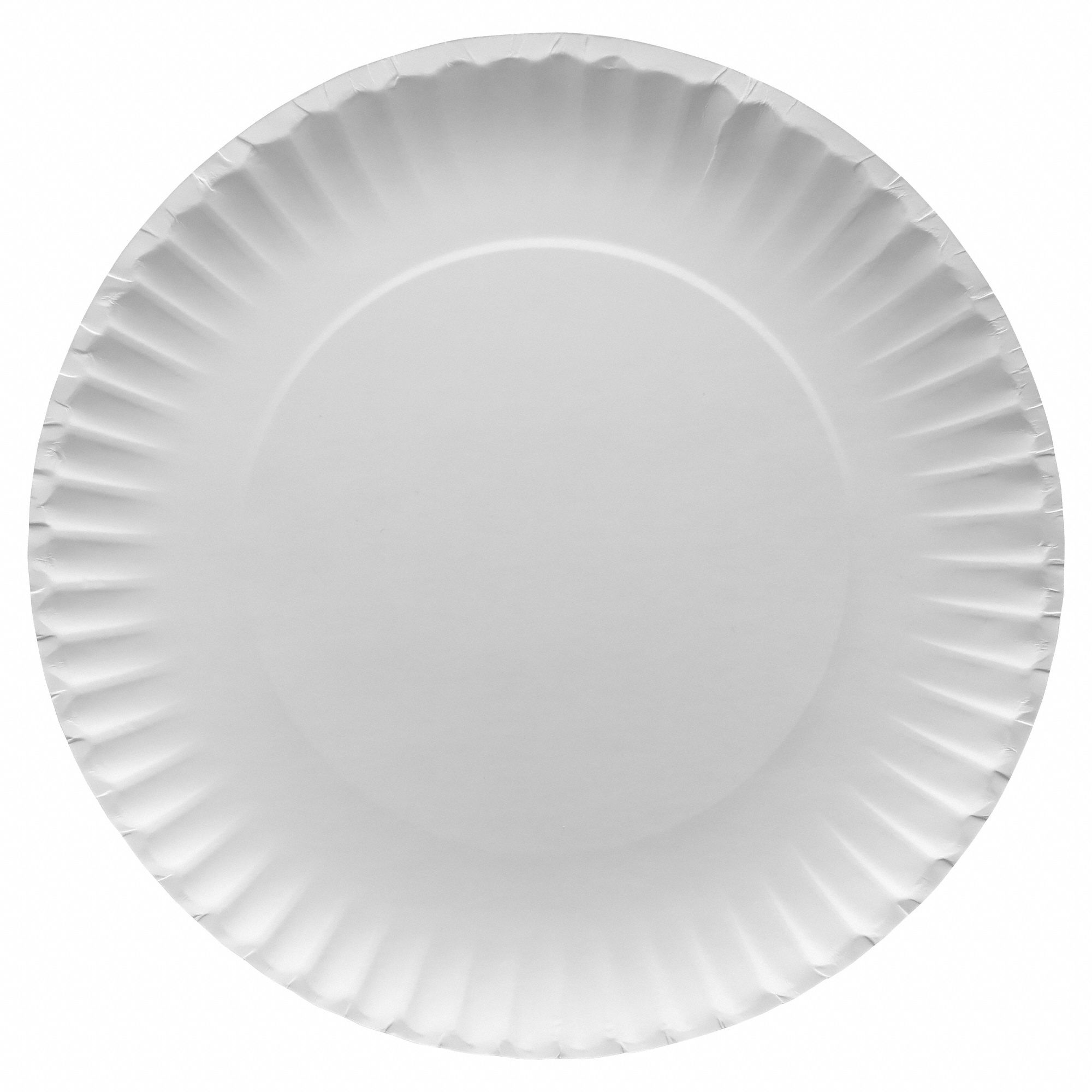 White Heavy Wt Disposable Paper Plate 20VG85 13677 Grainger
