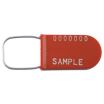 Padlock Seals - Grainger Industrial Supply