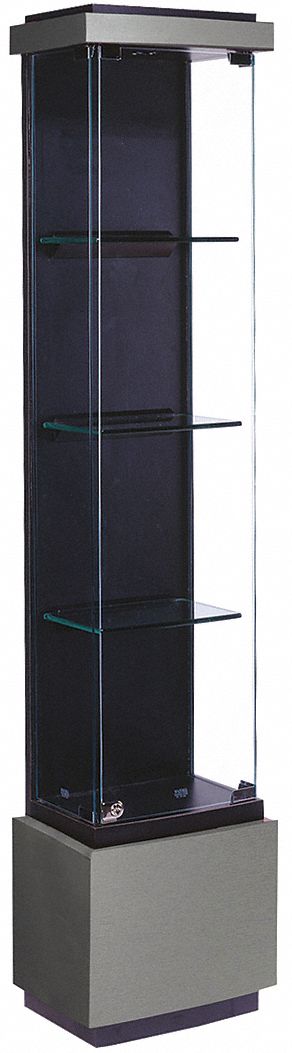Display Case,73x16x12,Brushed Silver - Grainger