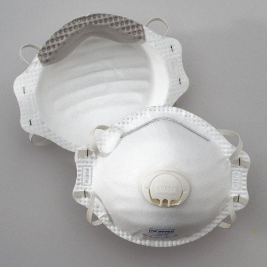 Disposable Particulate Respirator, S, PK 20 - Grainger