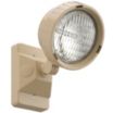Remote Head Emergency Lights - Grainger Industrial Supply