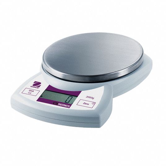 Compact Bench Scale, LCD Scale Display, Weighing Units g - Grainger