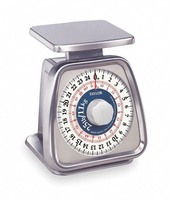 TAYLOR Dial Scale, 32 oz Weight Capacity, 6 in Weighing Surface Depth ...