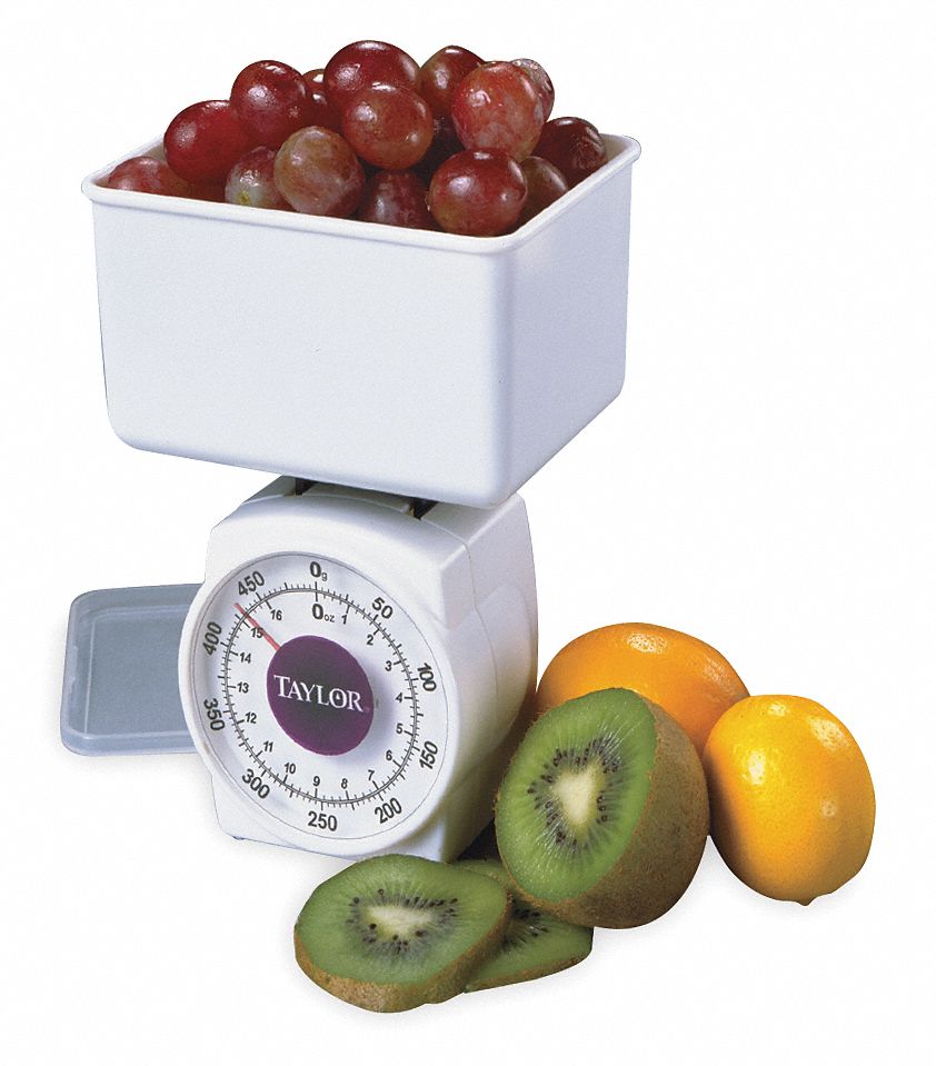 TAYLOR, 1 lb Wt Capacity, 3 in Weighing Surface Dp, Dial Scale - 3NZN2 ...