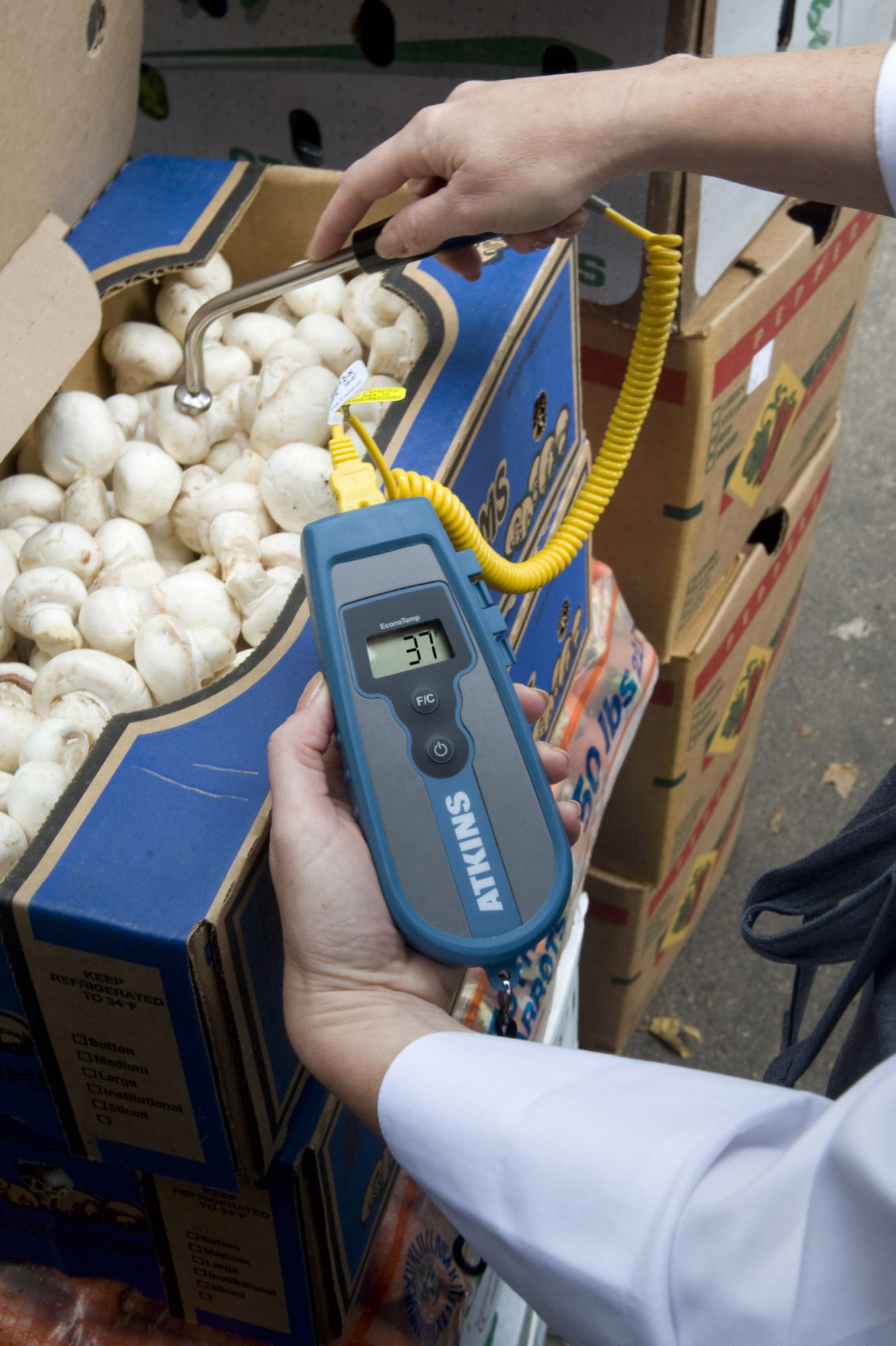 COOPER ATKINS Surface Temperature Probe: Thermocouple, Type K, 3/8 in x ...