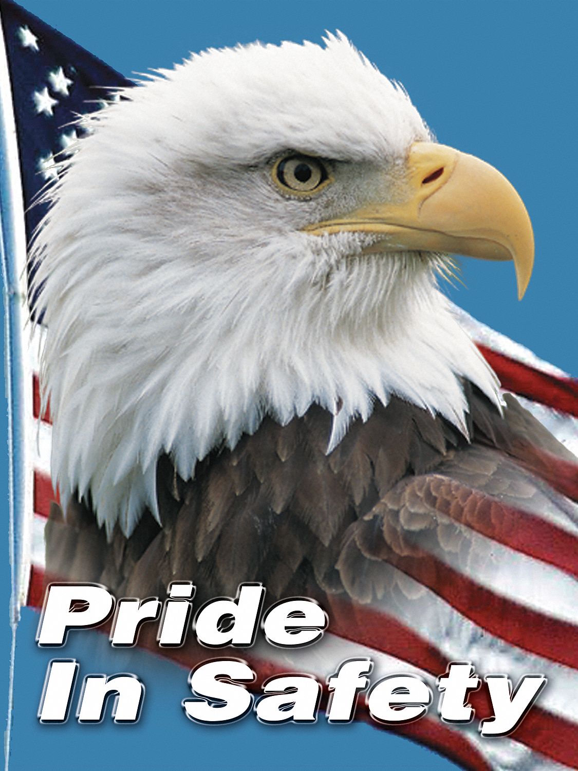 22 in x 17 in Nominal Sign Size, Clear Film Laminate, Safety Poster ...