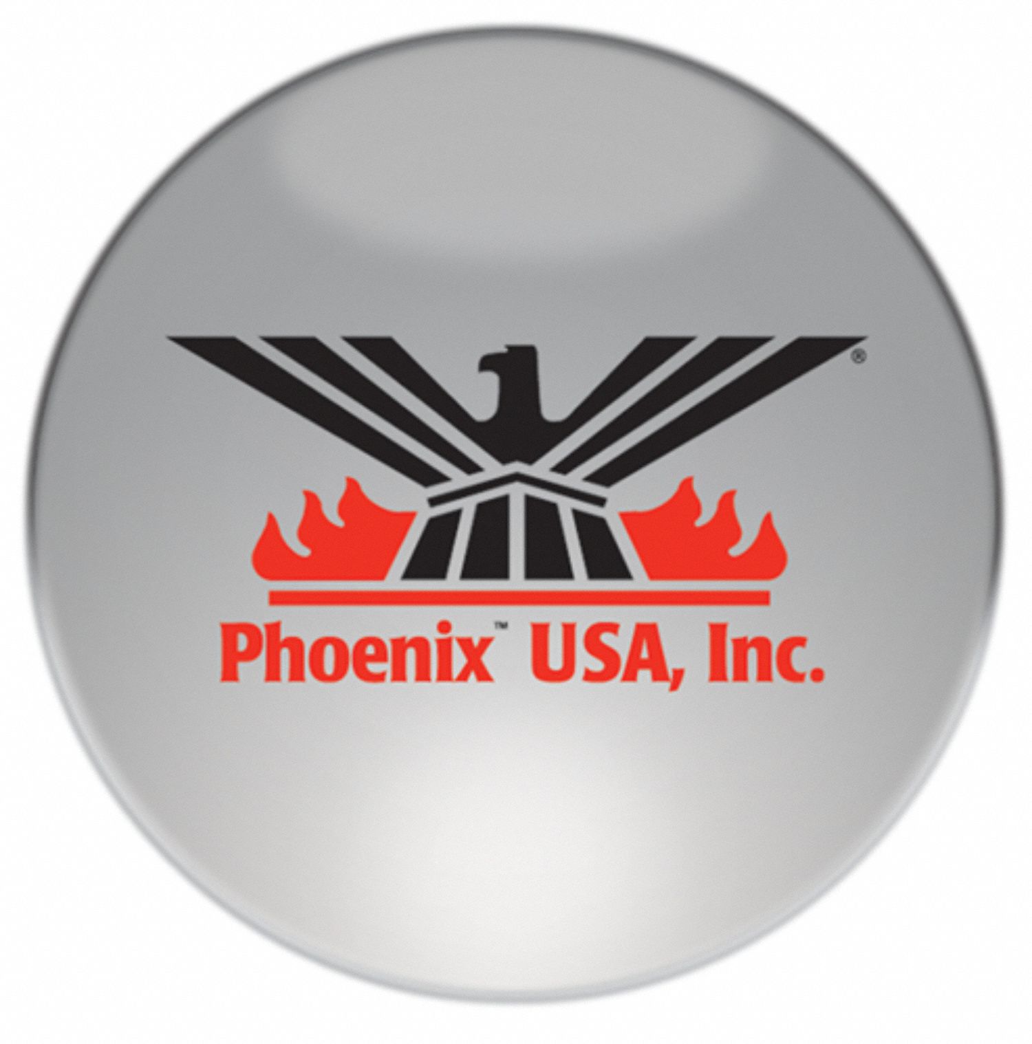 PHOENIX Logo: Plastic, Silver, 2 in Dia, 2 1/8 in Lg - 3VTC4|CLPH2 ...
