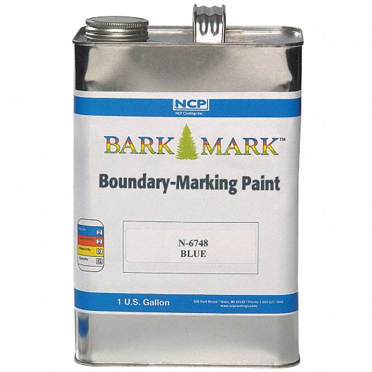 Boundary Marking Paint, Color Family Oranges, Color Blaze Orange - Grainger