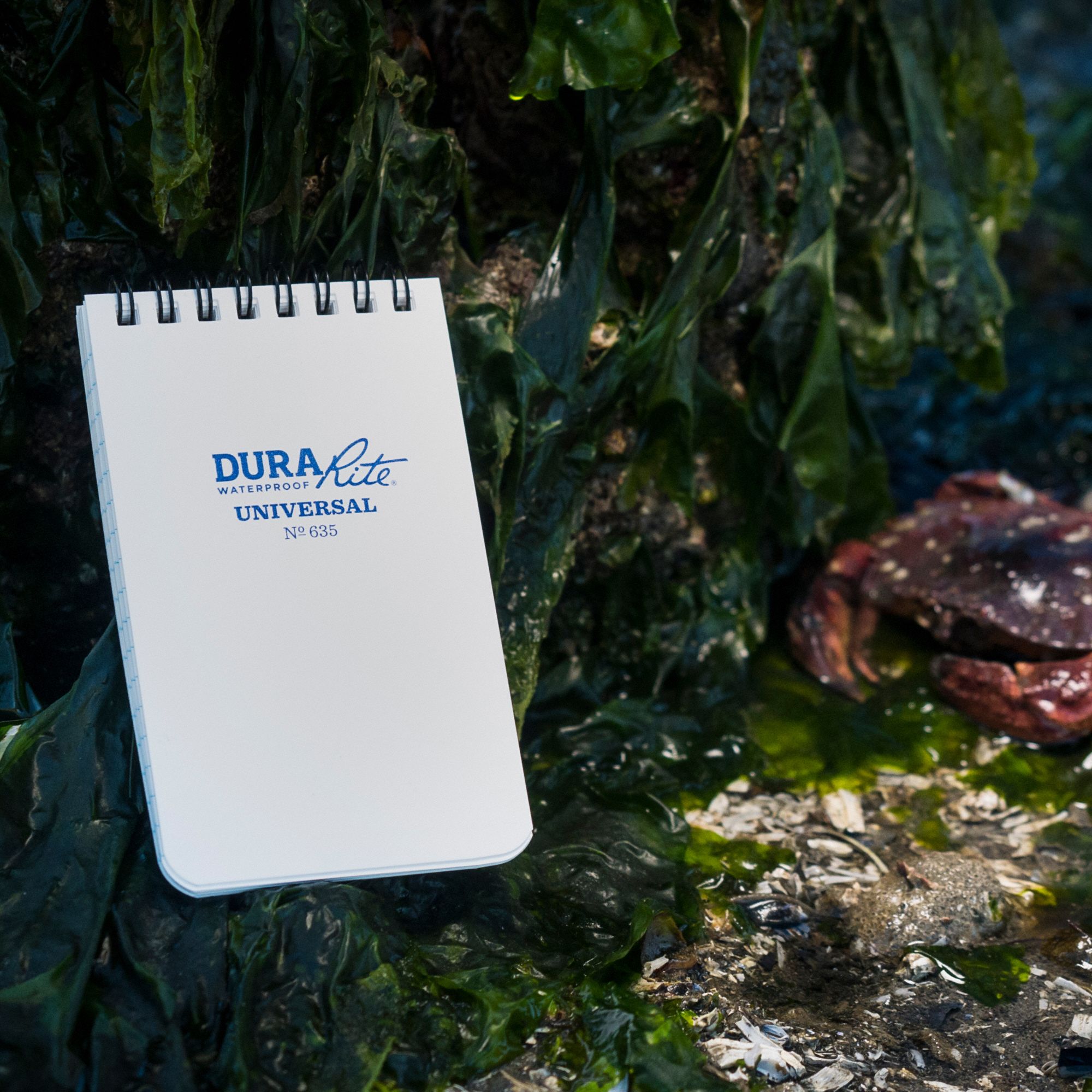 RITE IN THE RAIN All Weather Notebook: 3 in x 5 in Sheet Size, White ...