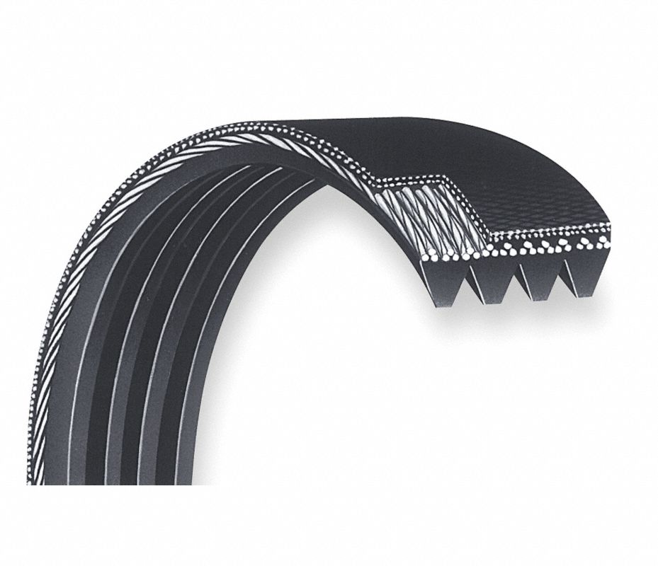 DAYTON Banda en V Micro Acanalada, 460J6, Longitud Exterior 46 ...