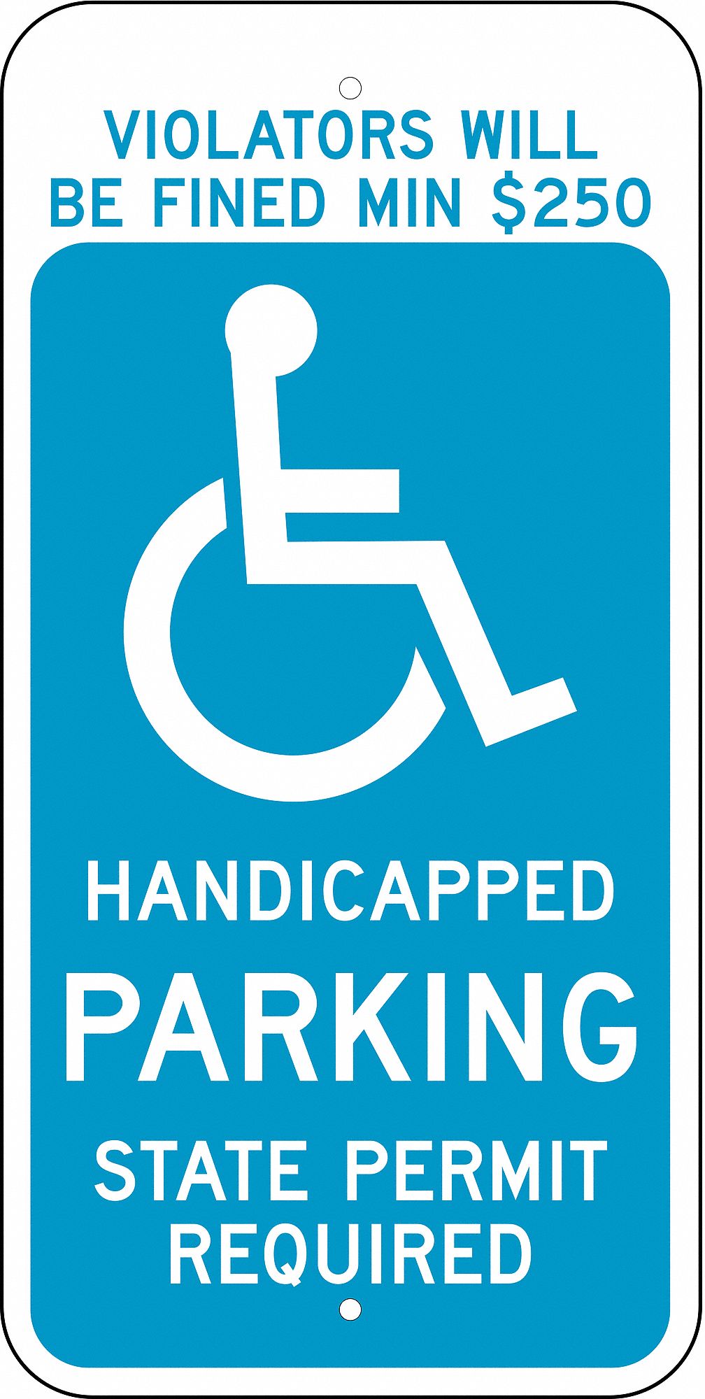 24 in x 12 in Nominal Sign Size, Aluminum, Handicap Parking Sign ...