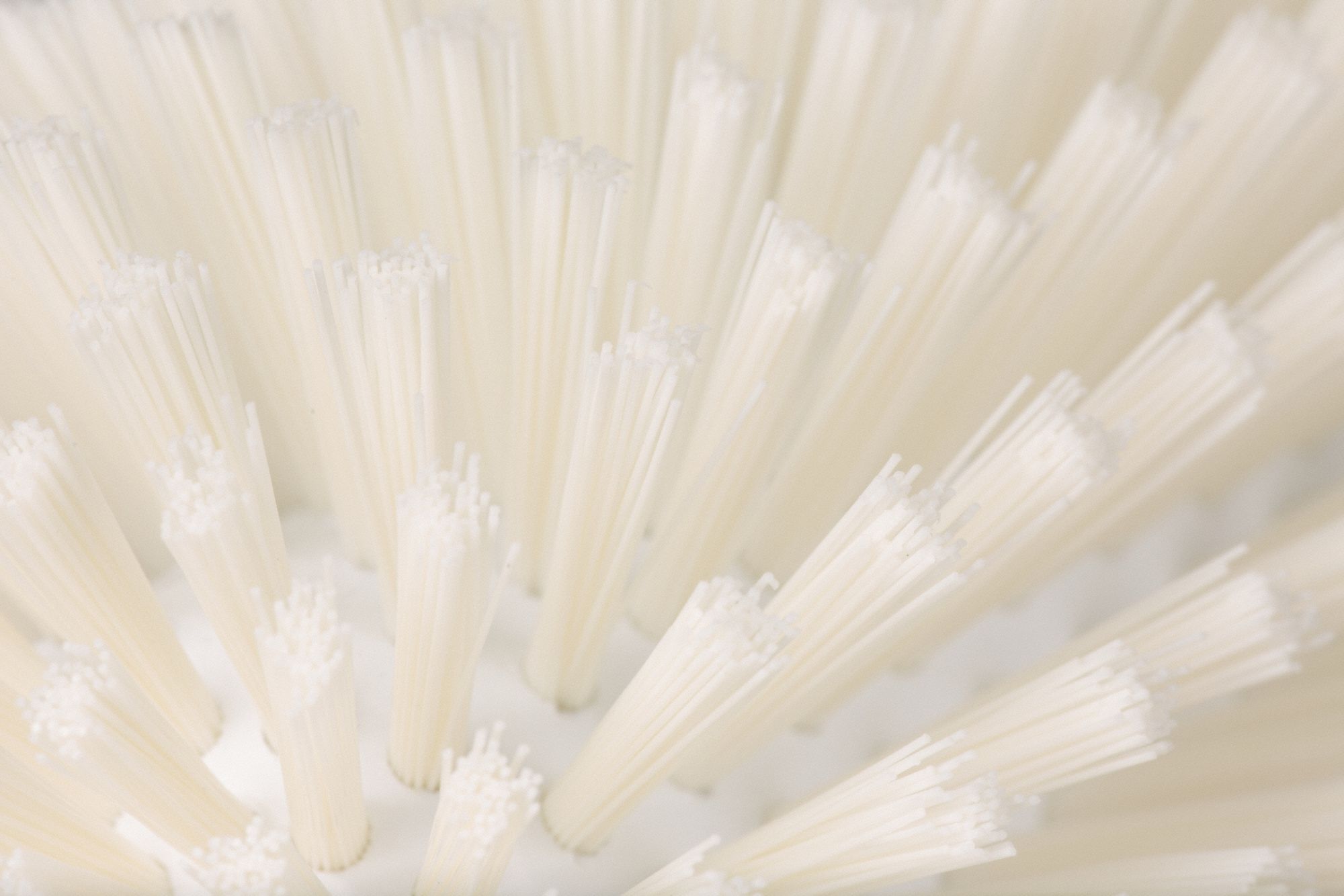 White Brush, 2 per case - Grainger