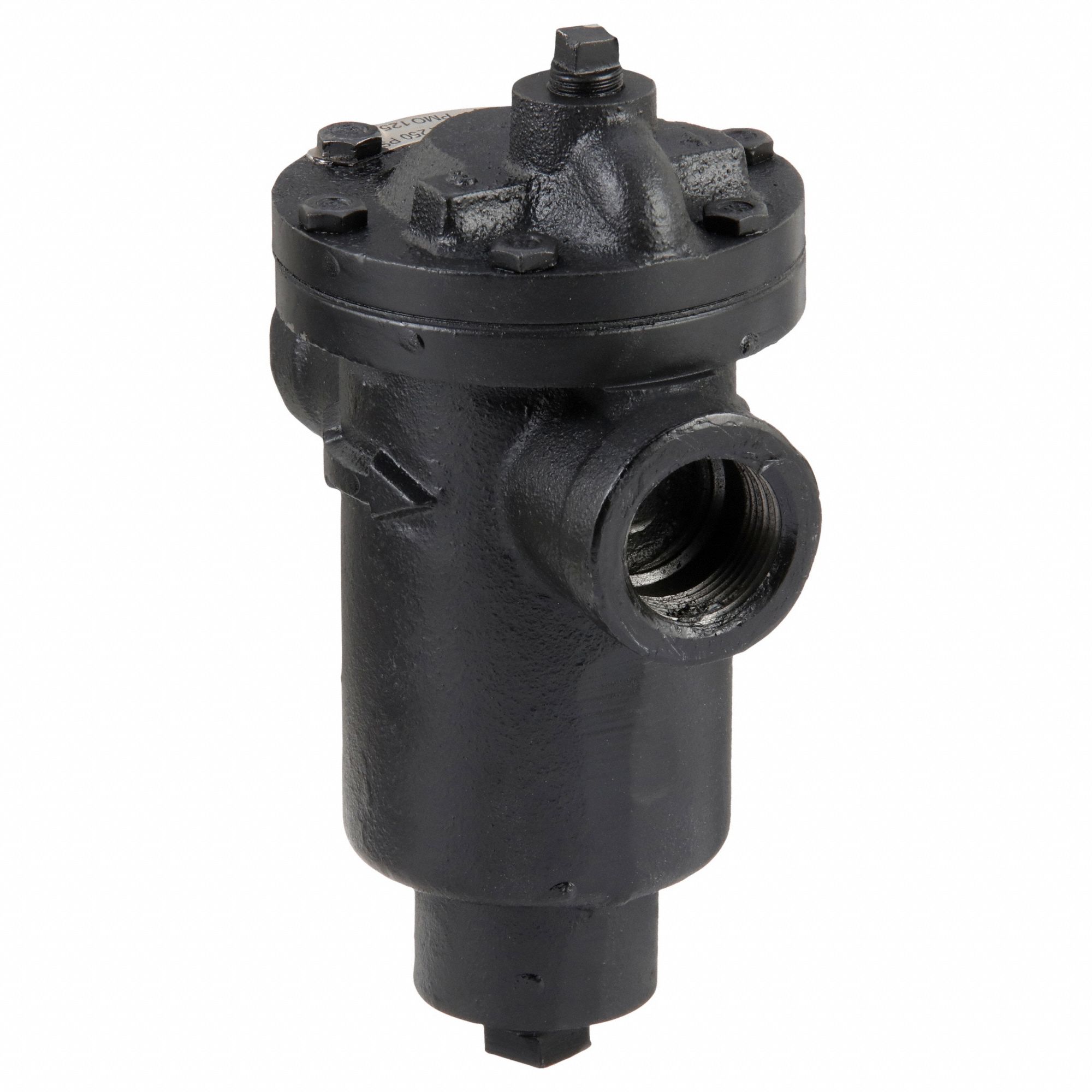 Cast Iron, 1 in FNPT, Steam Trap - 405Y33|IB11-4-125 - Grainger
