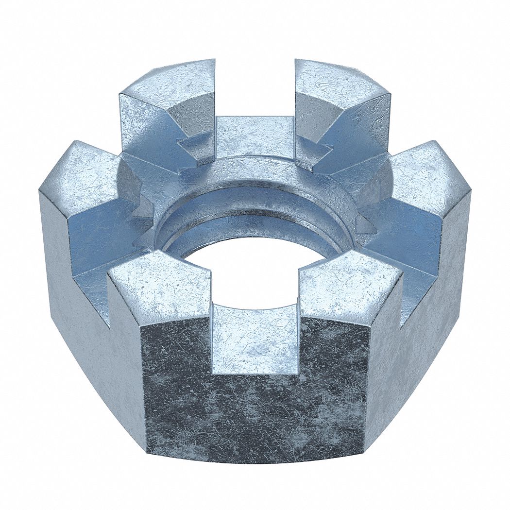 Slotted Castle, Std Hex, Castle Nut - 41TZ57|U12006.037.0001 - Grainger
