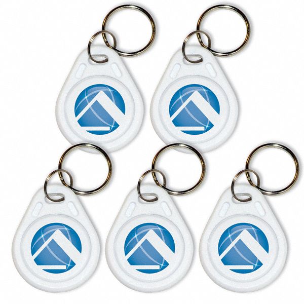 PYRAMID, Blue/White, 2 1/2 in Ht, Time Clock Fob - 821X95|42468 - Grainger