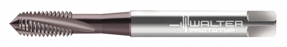WALTER PROTOTYP, M10x1.5 Thread Size, 15.00 mm Thread Lg, Spiral Flute ...