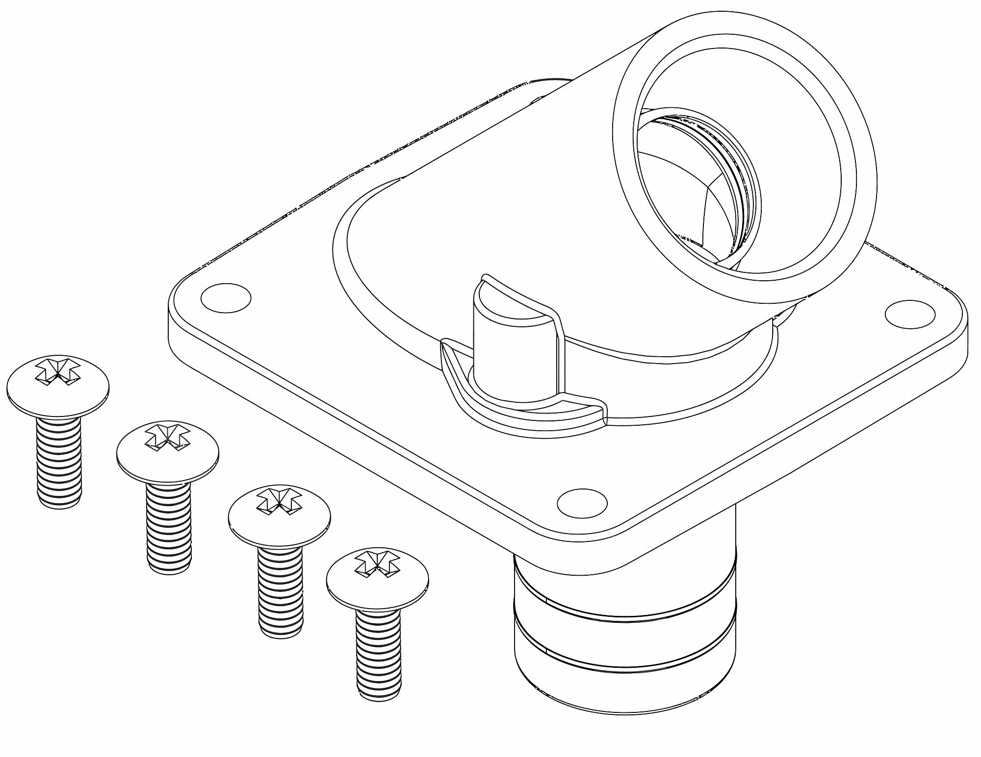 LIBERTY PUMPS, Fits Ascentii Brand, For 10V107, Discharge Flange Kit ...