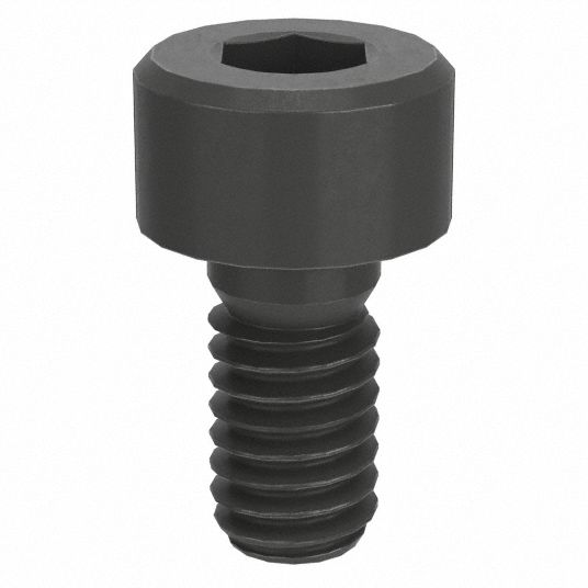 M2.5-0.45 Thread Size, 5 mm Lg, Socket Head Cap Screw - 42GD65|L07000.025.0005 - Grainger
