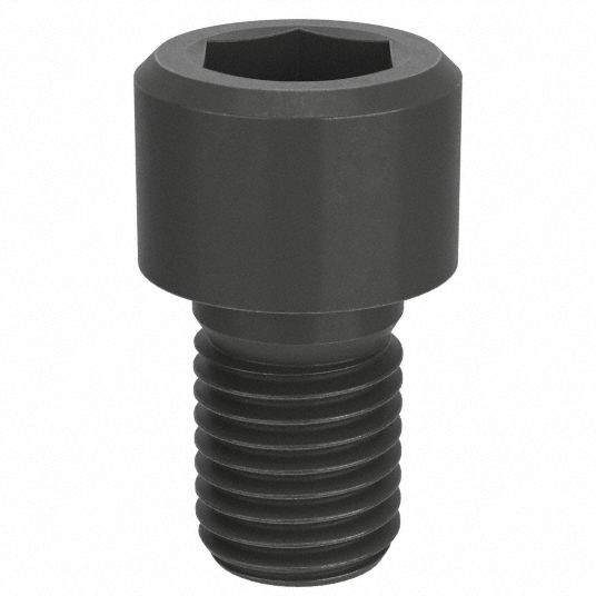 M20x2.50 Thread Size, 30 mm Lg, Socket Head Cap Screw - 42GF77|L07000 ...