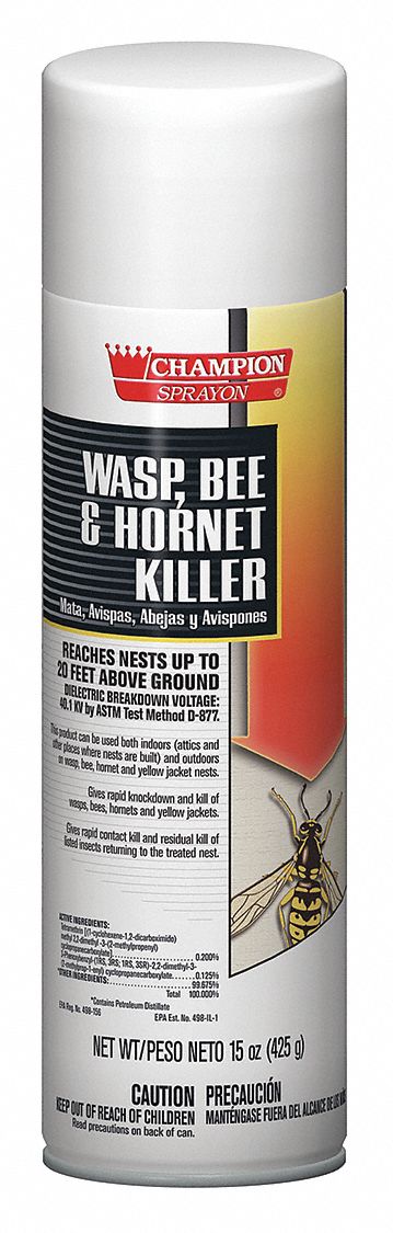 CHASE, For Use On Flying and Crawling Insects, Aerosol Spray Can, Wasp ...
