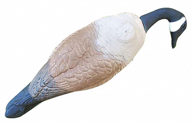 BIRD BARRIER, Brown/White, Targets Geese, Goose Guard Kit - 43RG65|SD ...