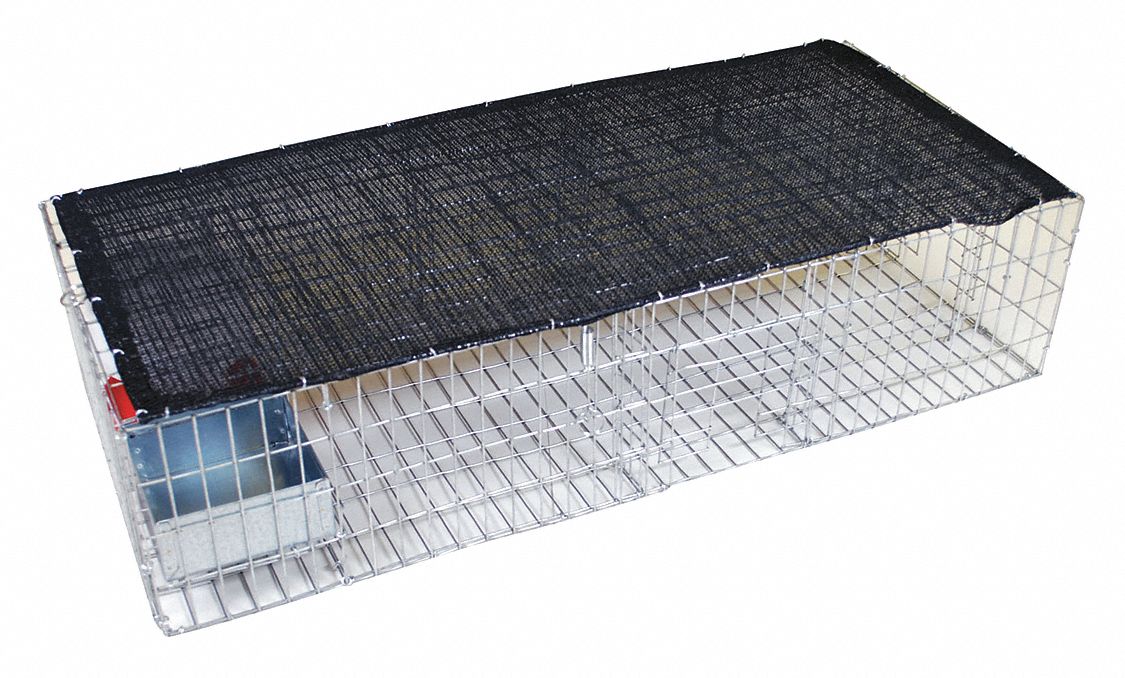 BIRD BARRIER, Three Door Trap, (10+) Birds Capacity, Pigeon Trap ...