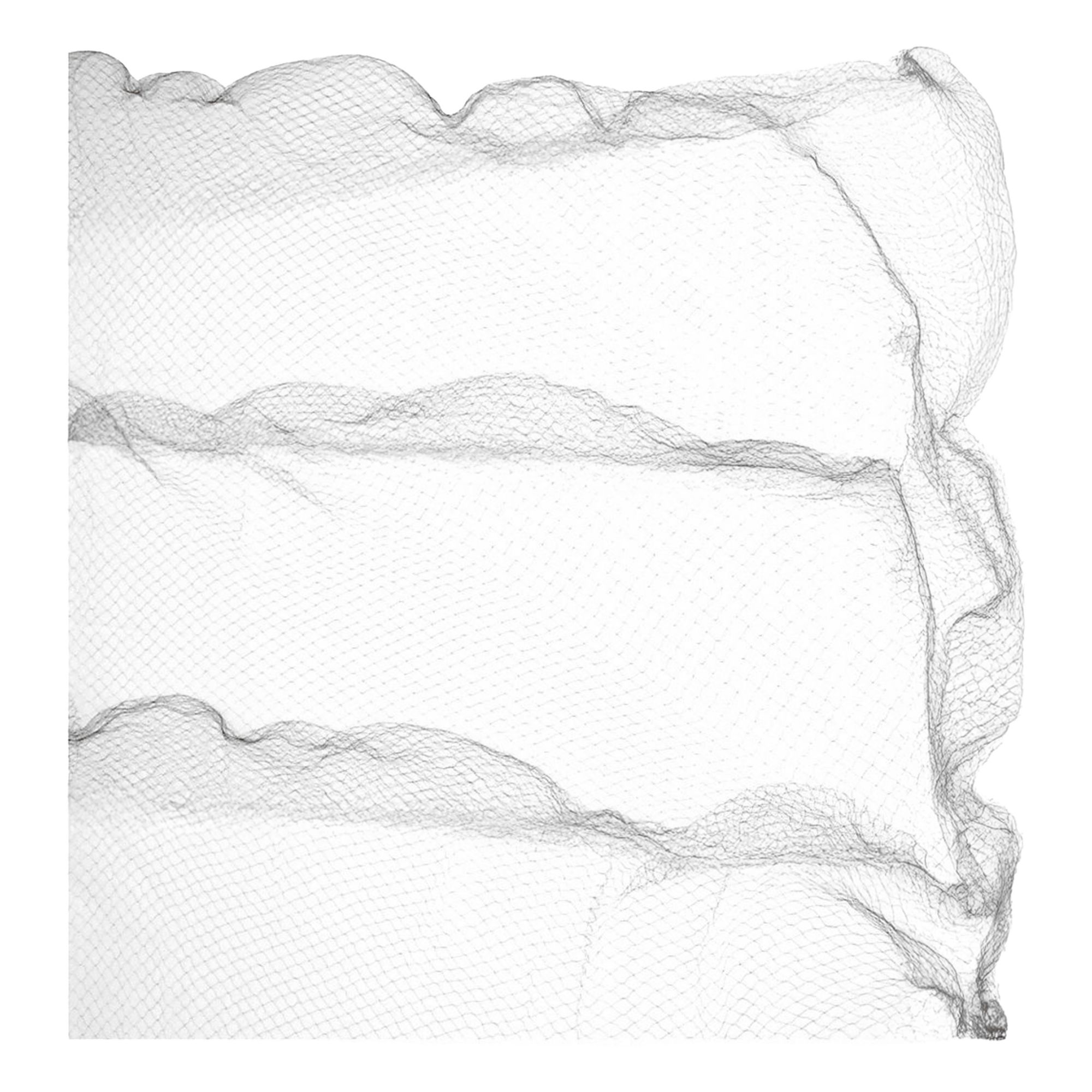 BIRD BARRIER, Mist Netting, 240 sq ft Coverage Area, Mist Net - 43RH93 ...