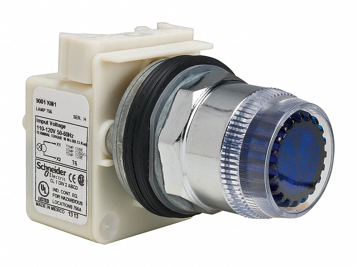 SCHNEIDER ELECTRIC, Blue, 30 mm Mounting Size, Flush Push Button ...