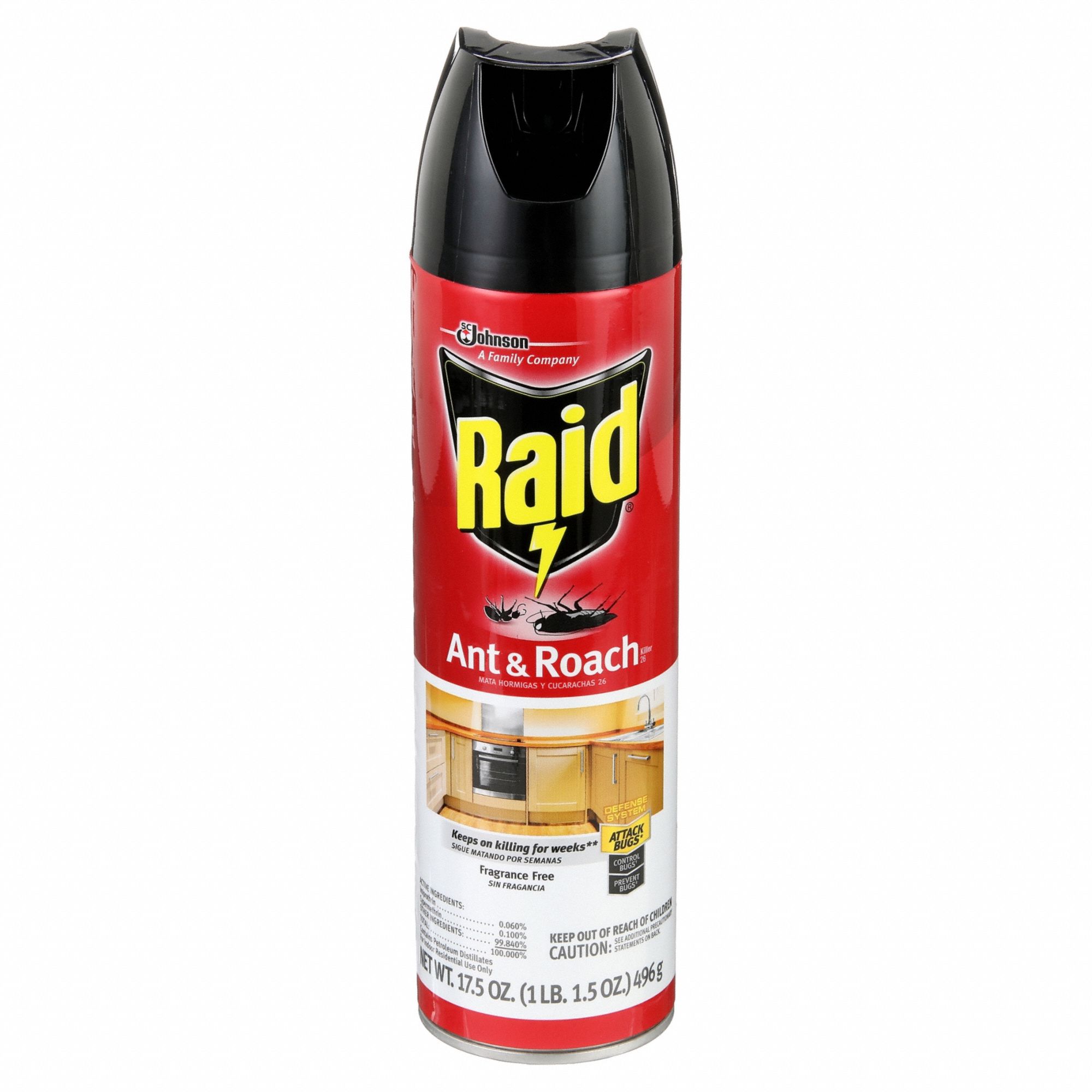 RAID, For Use On Crawling Insects, Aerosol Spray Can, Ant and Roach Killer - 45CR50|365961 ...