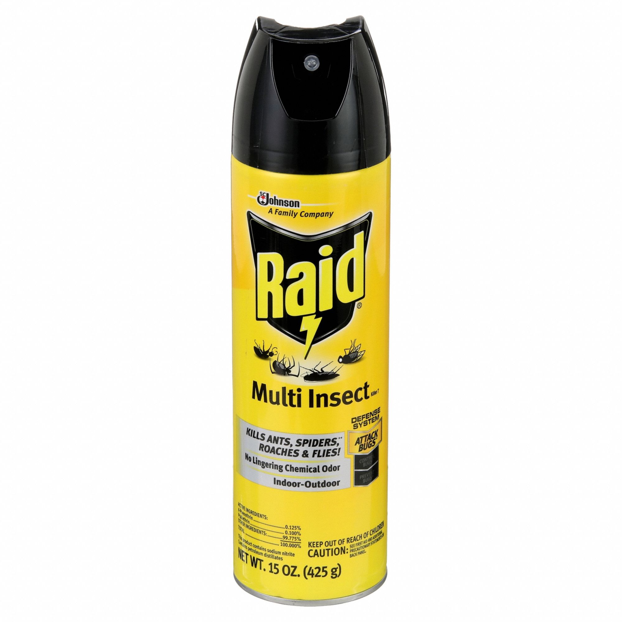RAID, For Use On Flying and Crawling Insects, Aerosol Spray Can, Insect Killer - 45CR52|300819 ...