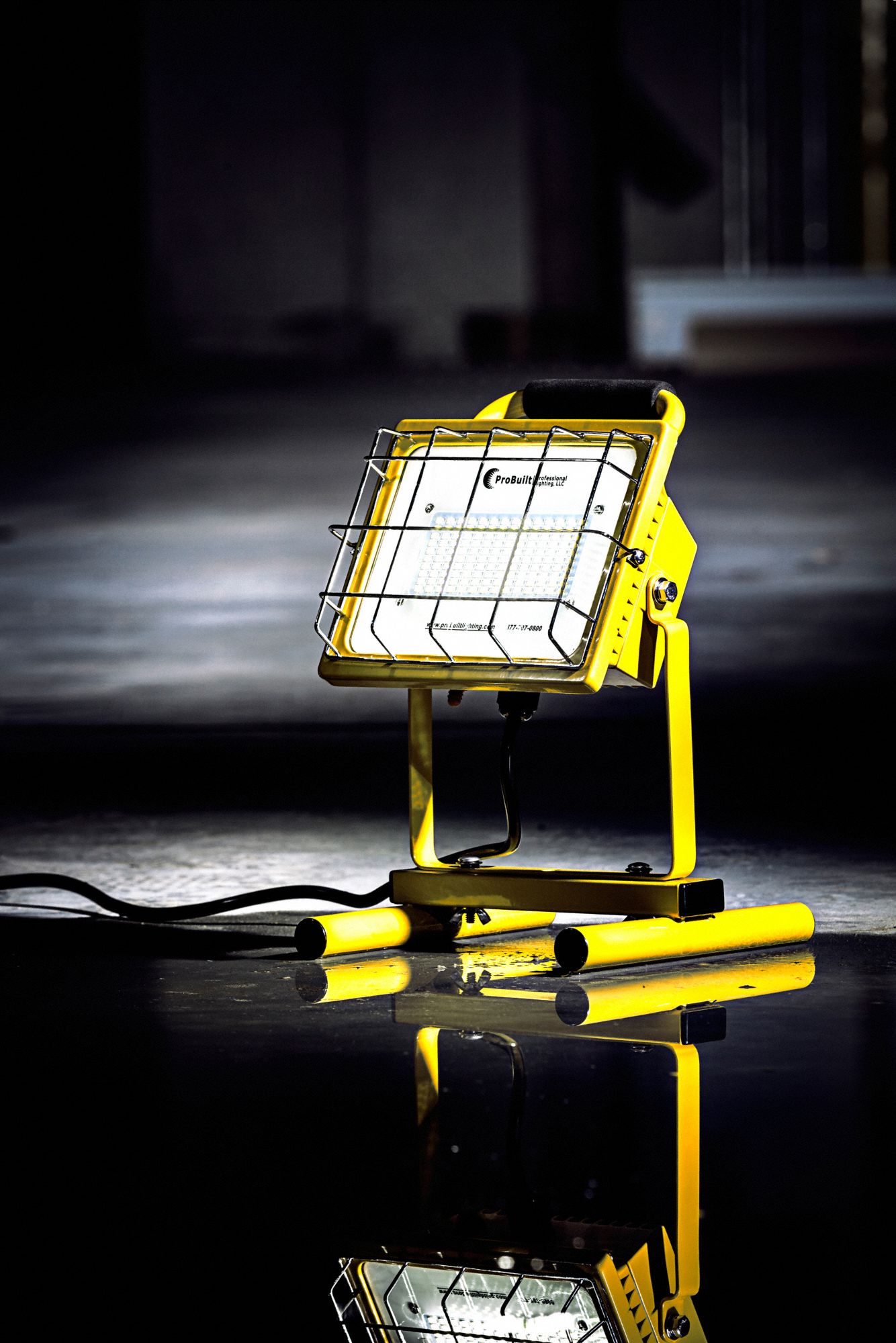 PROBUILT Temporary Job Site Light, Floor Stand, Corded (AC), Lumens ...