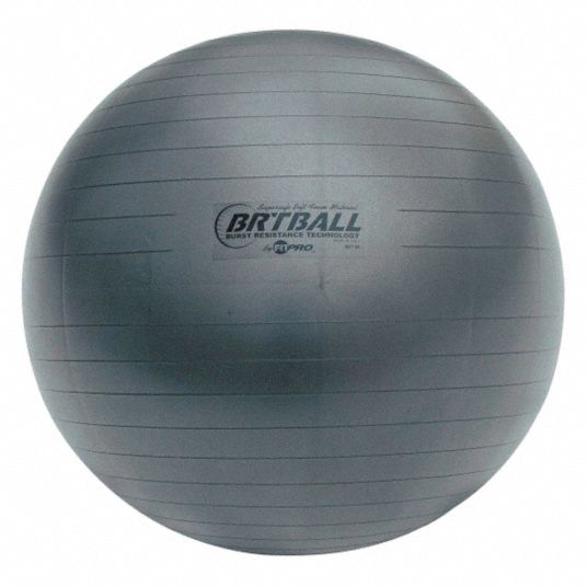 CHAMPION SPORTS, 20.87 in Overall Dia, Gray, Exercise Ball - 45NM24 ...