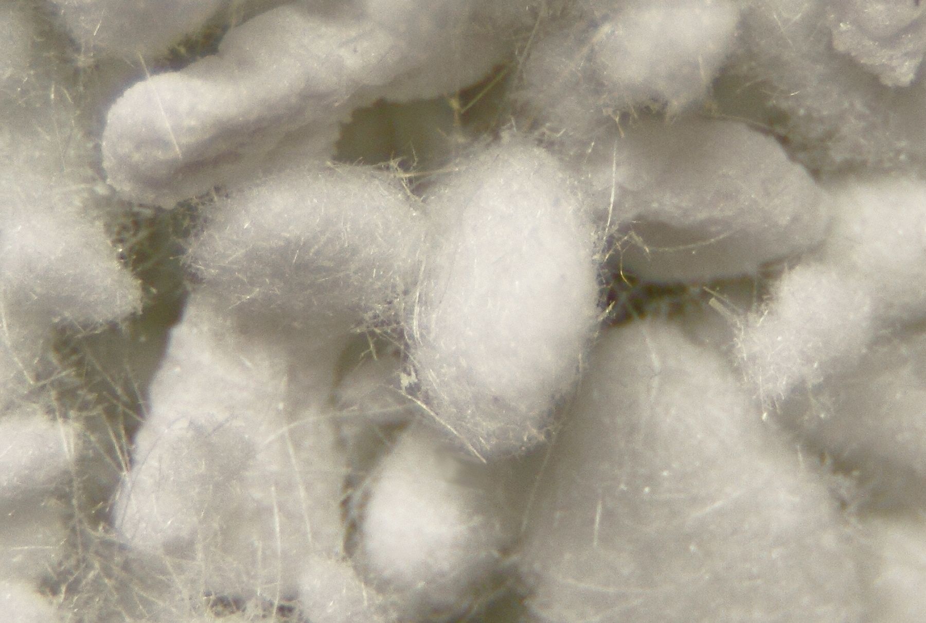 NANO SEPURA Oil and Water Separator: 75 hp Max Air Compressor HP, 360 ...