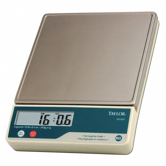 TAYLOR Bench Scale: 22 lb Wt Capacity, 7 1/8 in Weighing Surface Dp, 7 ...