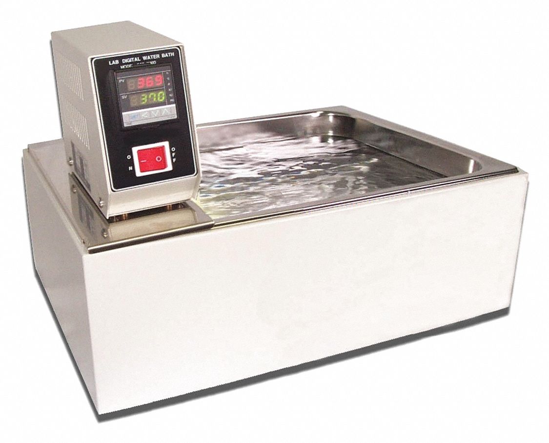 LW SCIENTIFIC Water Bath, 10 L, 110 V - 45UA82|WBL-10LC-SSD1 - Grainger