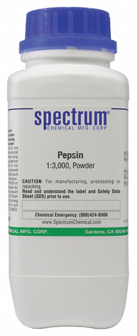 Lab, 500 g, Pepsin - 1:3000 - 46AM79|P1571-500GM - Grainger