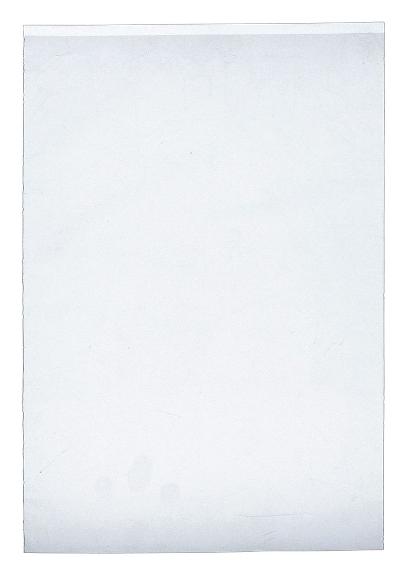 Polypropylene, Plain, Autoclavable Bag - 46C821|H13185-2436 - Grainger