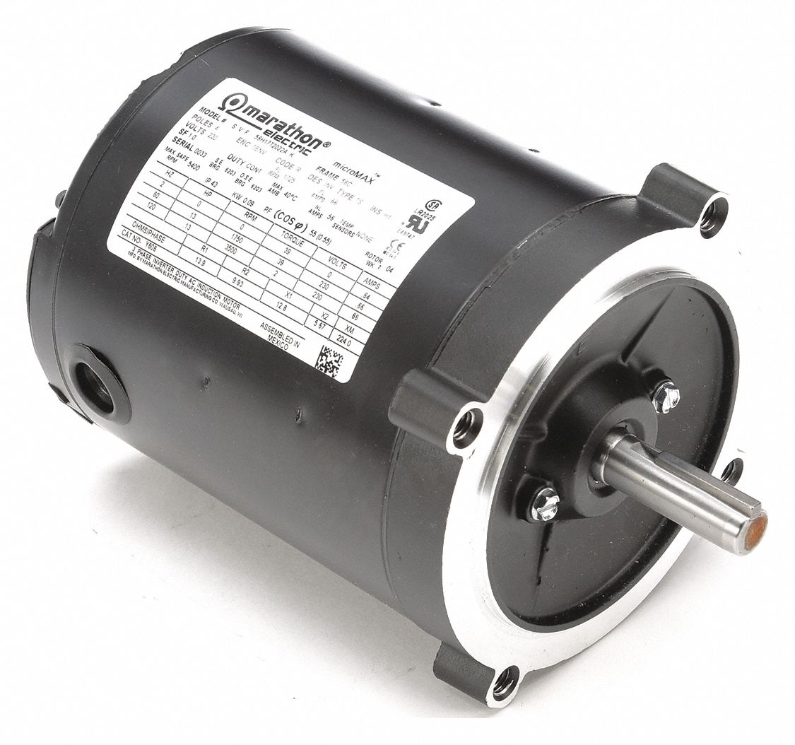Vector Motor, 1/8 HP, Speed Range 1000:1 CT, Nameplate RPM 1725, Max ...