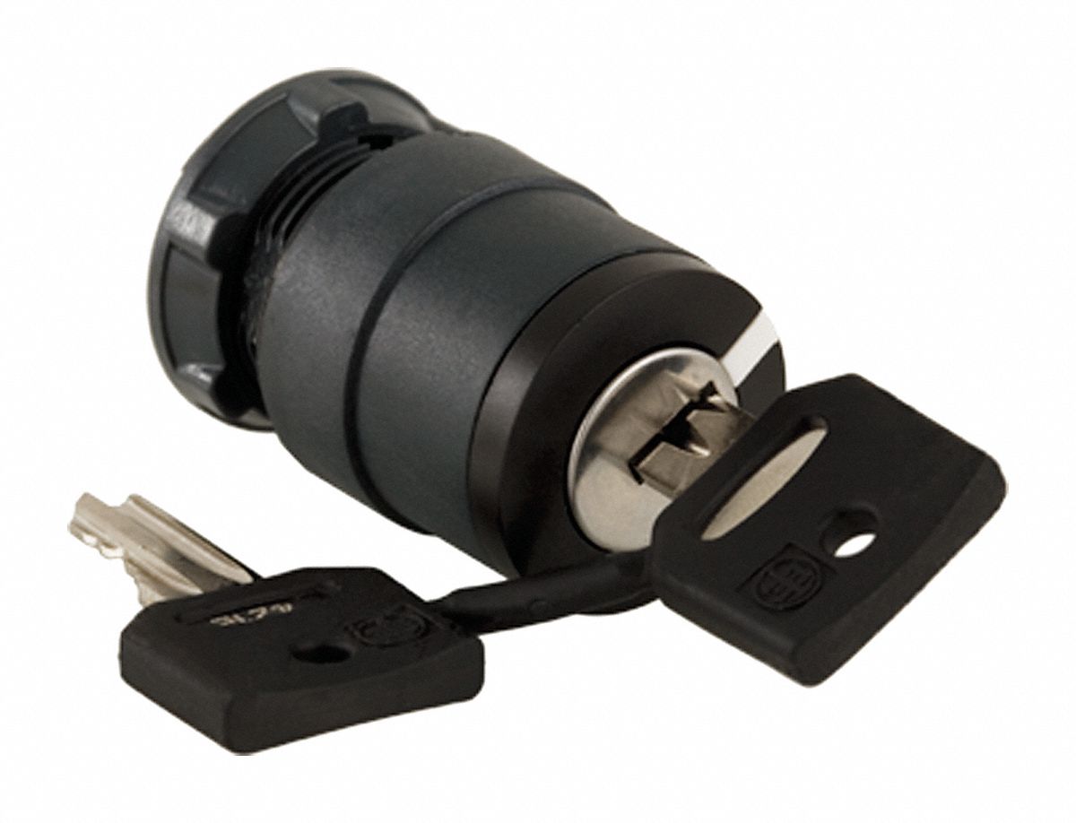 SCHNEIDER ELECTRIC, 2 Position, 22 mm Panel Mounting Size, Keyed ...