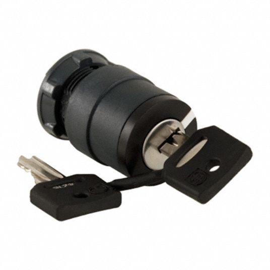 SCHNEIDER ELECTRIC, 2 Position, 22 mm Panel Mounting Size, Keyed ...