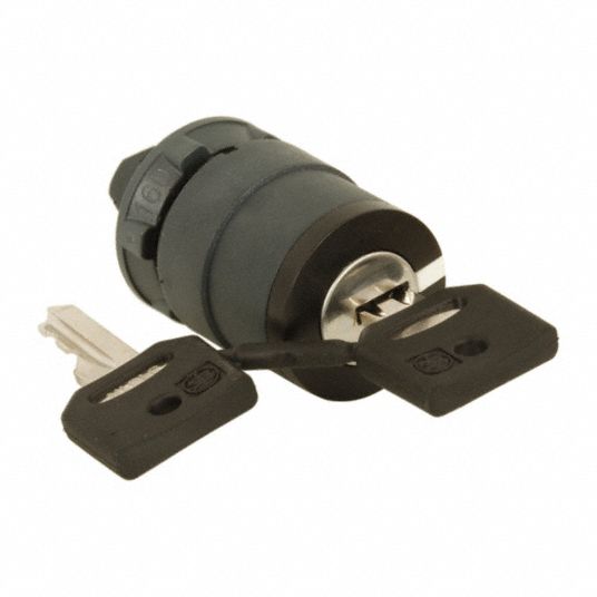 SCHNEIDER ELECTRIC, 3 Position, 22 mm Panel Mounting Size, Keyed ...