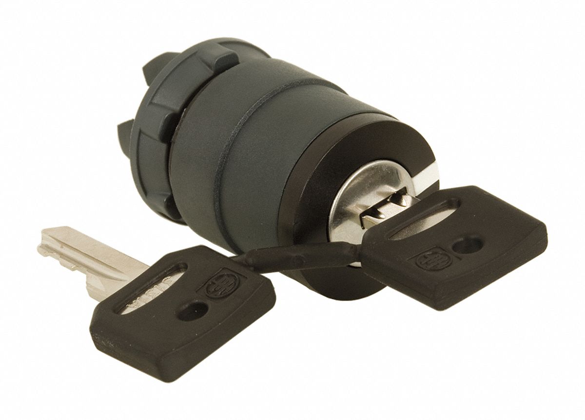 SCHNEIDER ELECTRIC, 2 Position, 22 mm Panel Mounting Size, Keyed ...