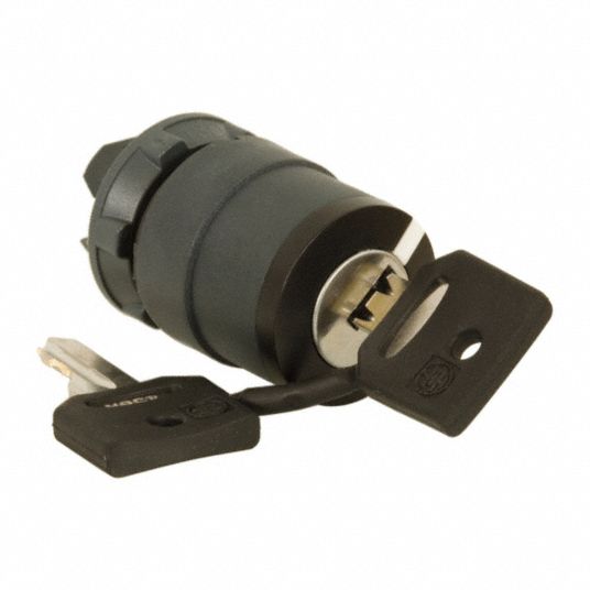 SCHNEIDER ELECTRIC, 2 Position, 22 mm Panel Mounting Size, Keyed ...