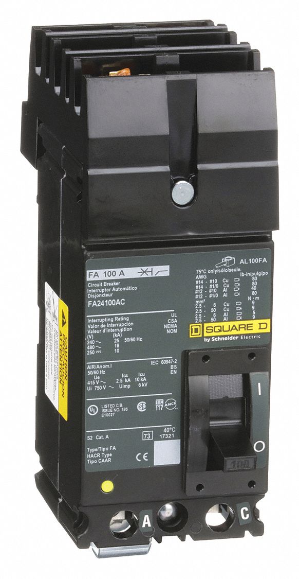 Molded Case Circuit Breaker 480V 100A - 48M673|FA24100AC - Grainger